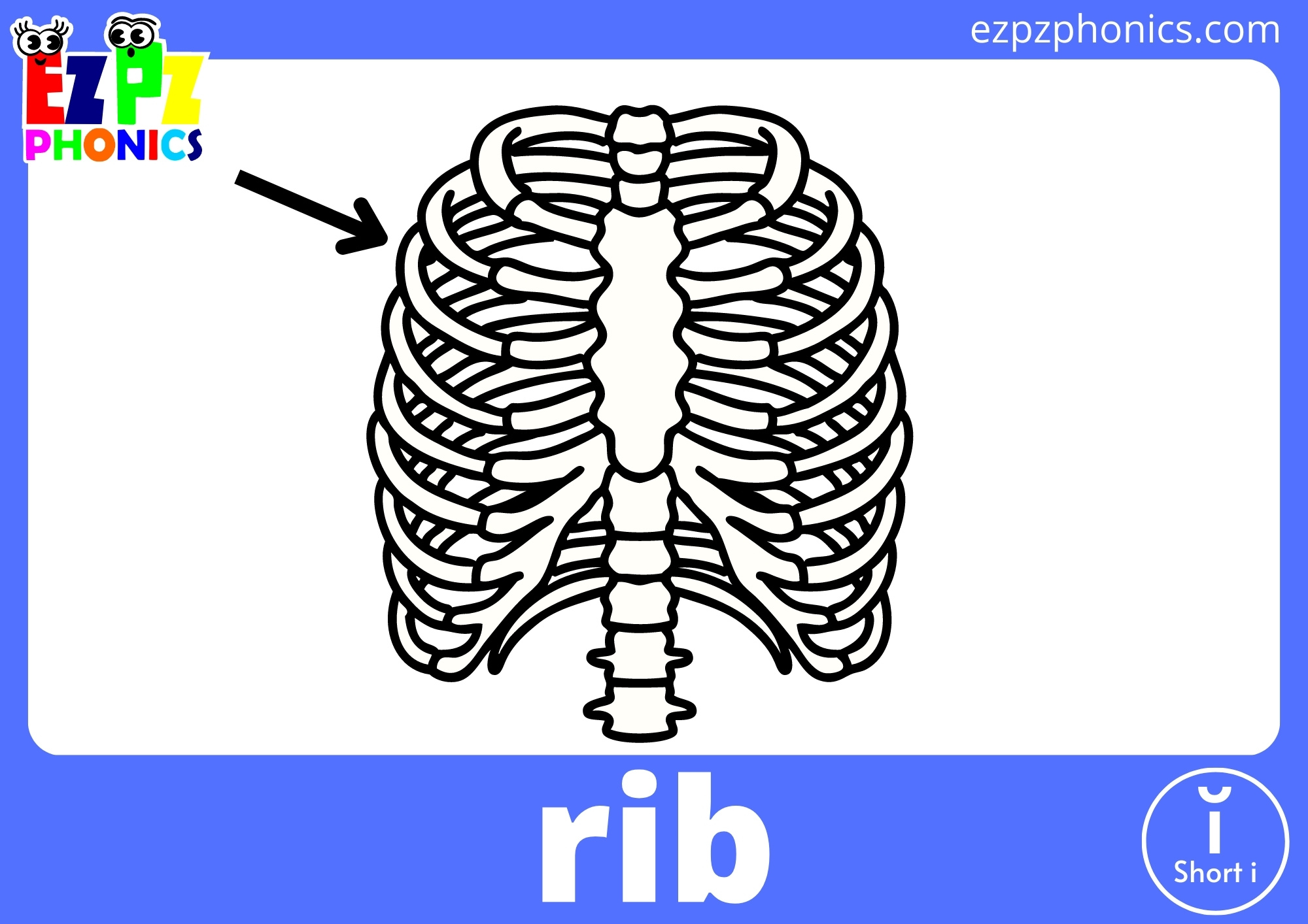 I Short Vowel CVC Words Flashcards Free PDF Download or View Online ...