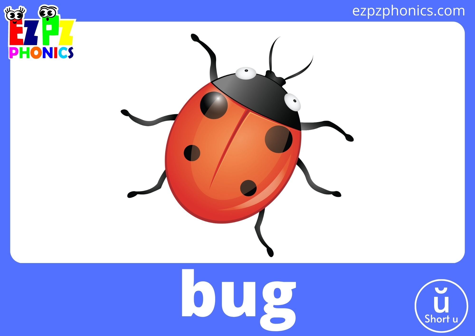 U Short Vowel CVC Words Flashcards Free PDF Download or View Online ...