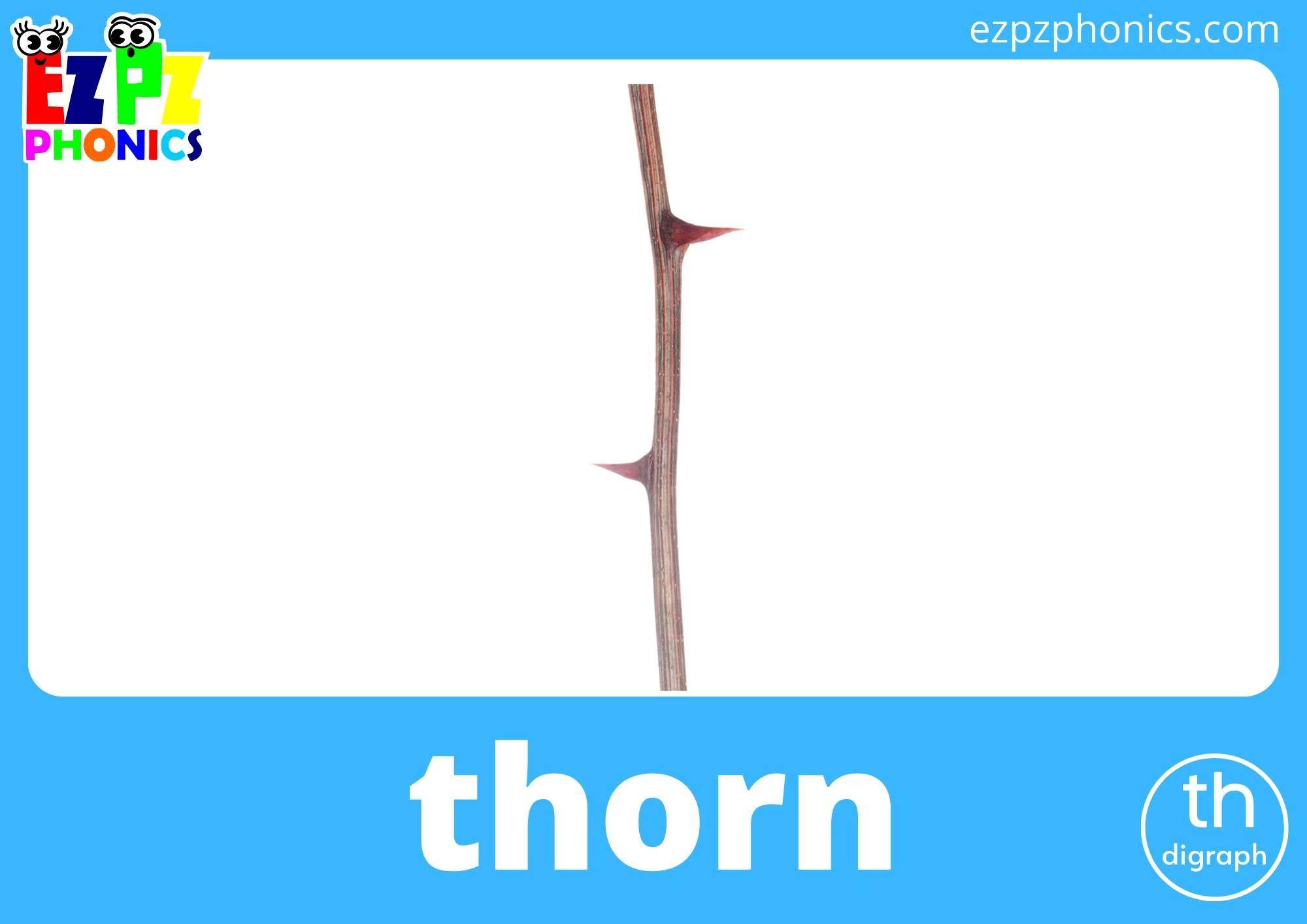 th Digraph Flashcards - ezpzphonics.com