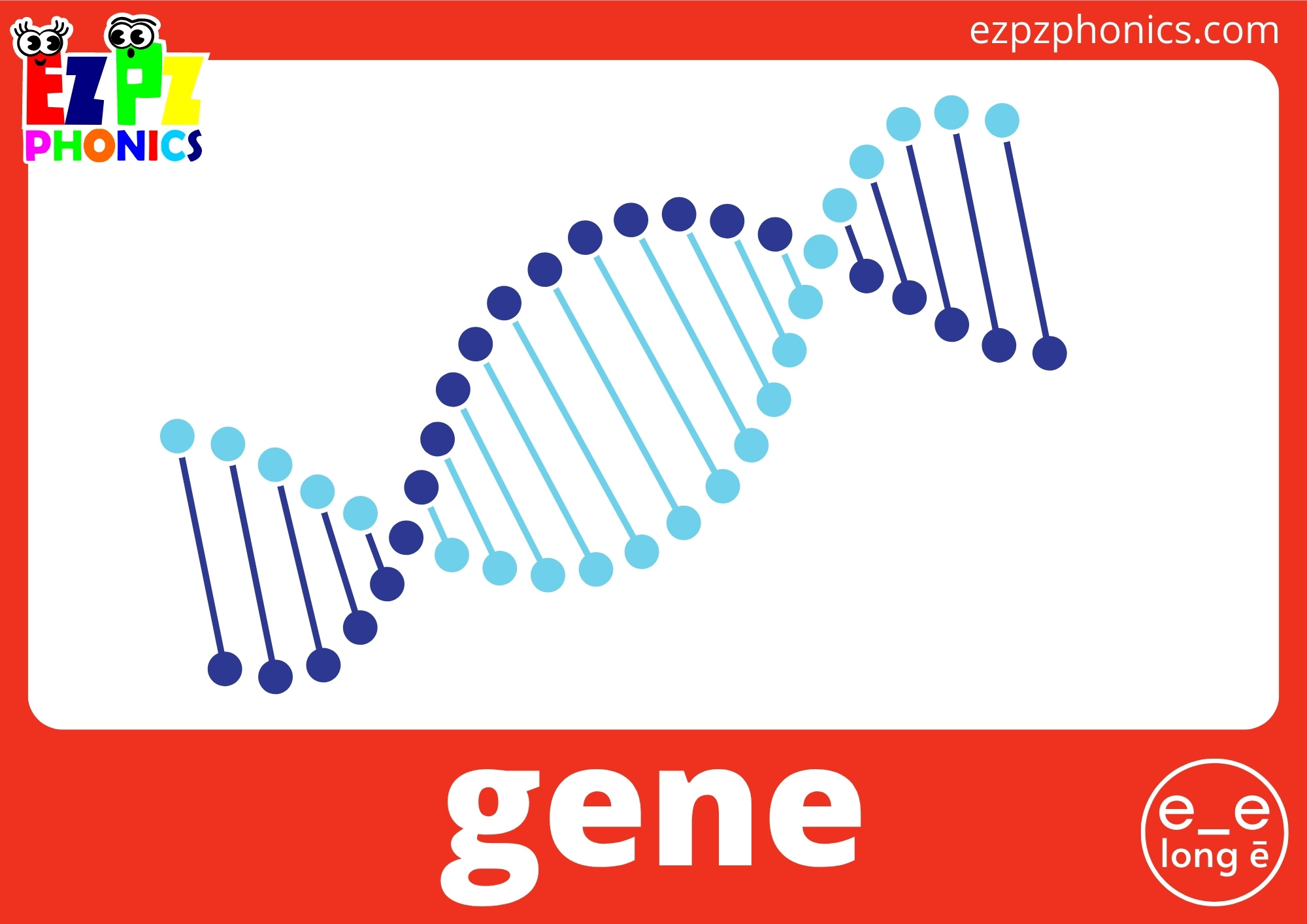 e e Words Long E Sounds Flaschcards - ezpzphonics.com