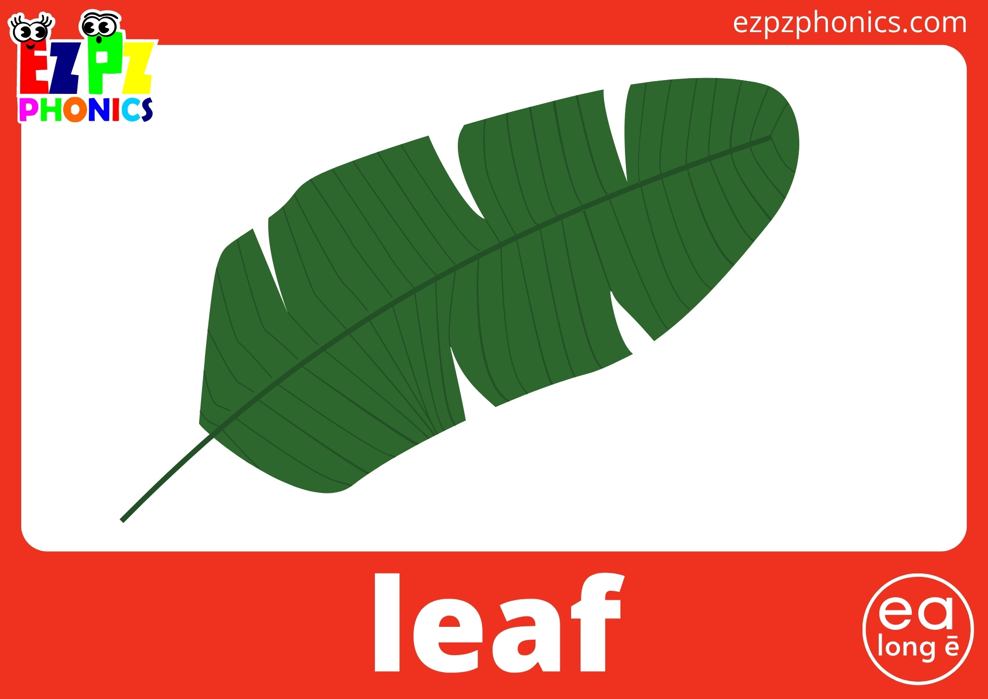 ea Words List Long E Vowel Sounds Flashcards with Images and Words Free ...