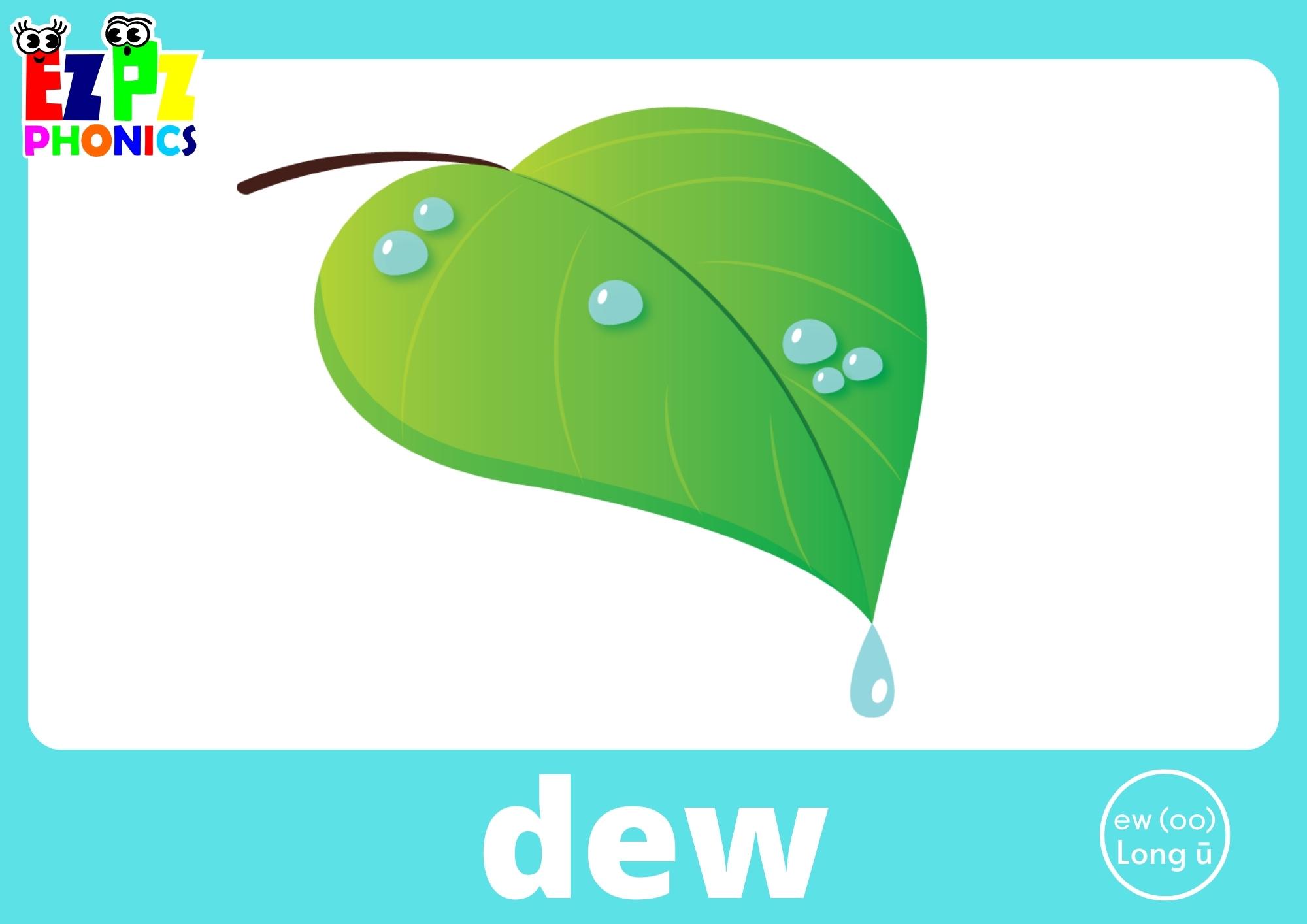 EW Words Long U (oo) Vowel Sound Flashcards with Images and Words ...