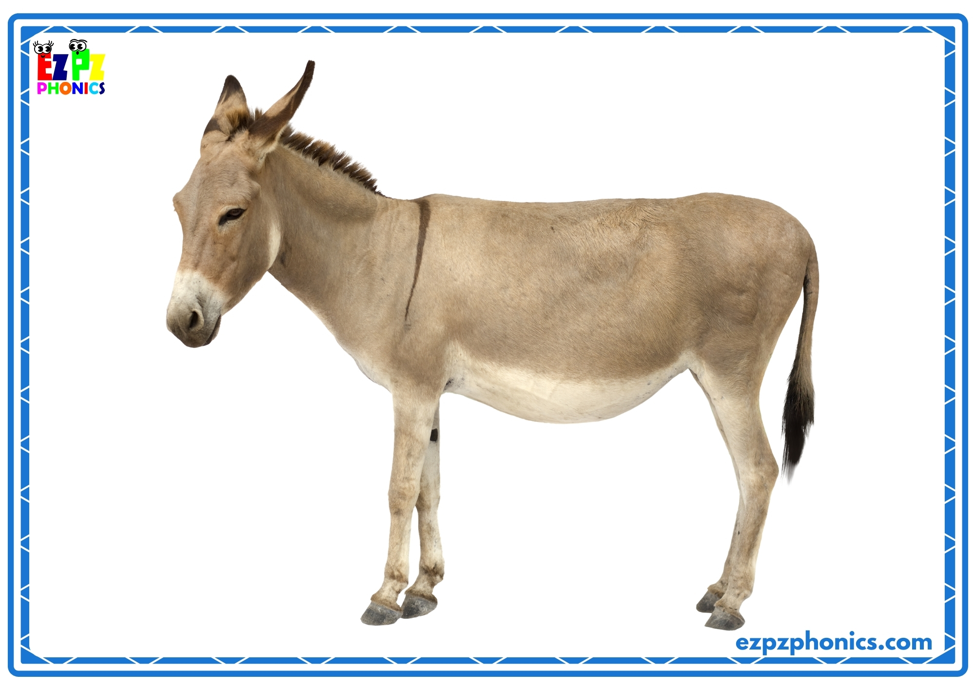 Farm Animals Flashcards Words on the Back for Easy Learning, Free PDF ...