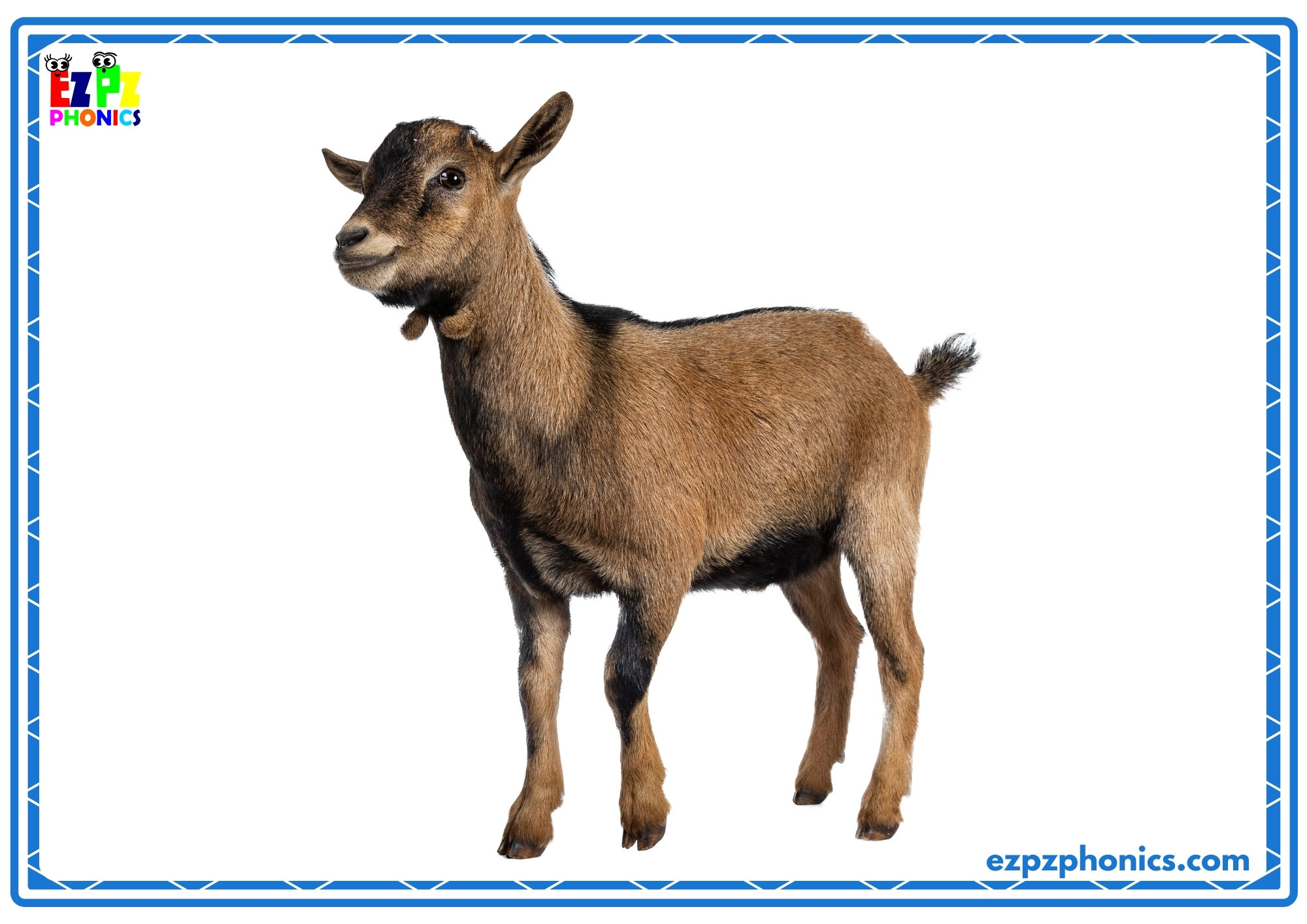Farm Animals Flashcards Words on the Back for Easy Learning, Free PDF ...