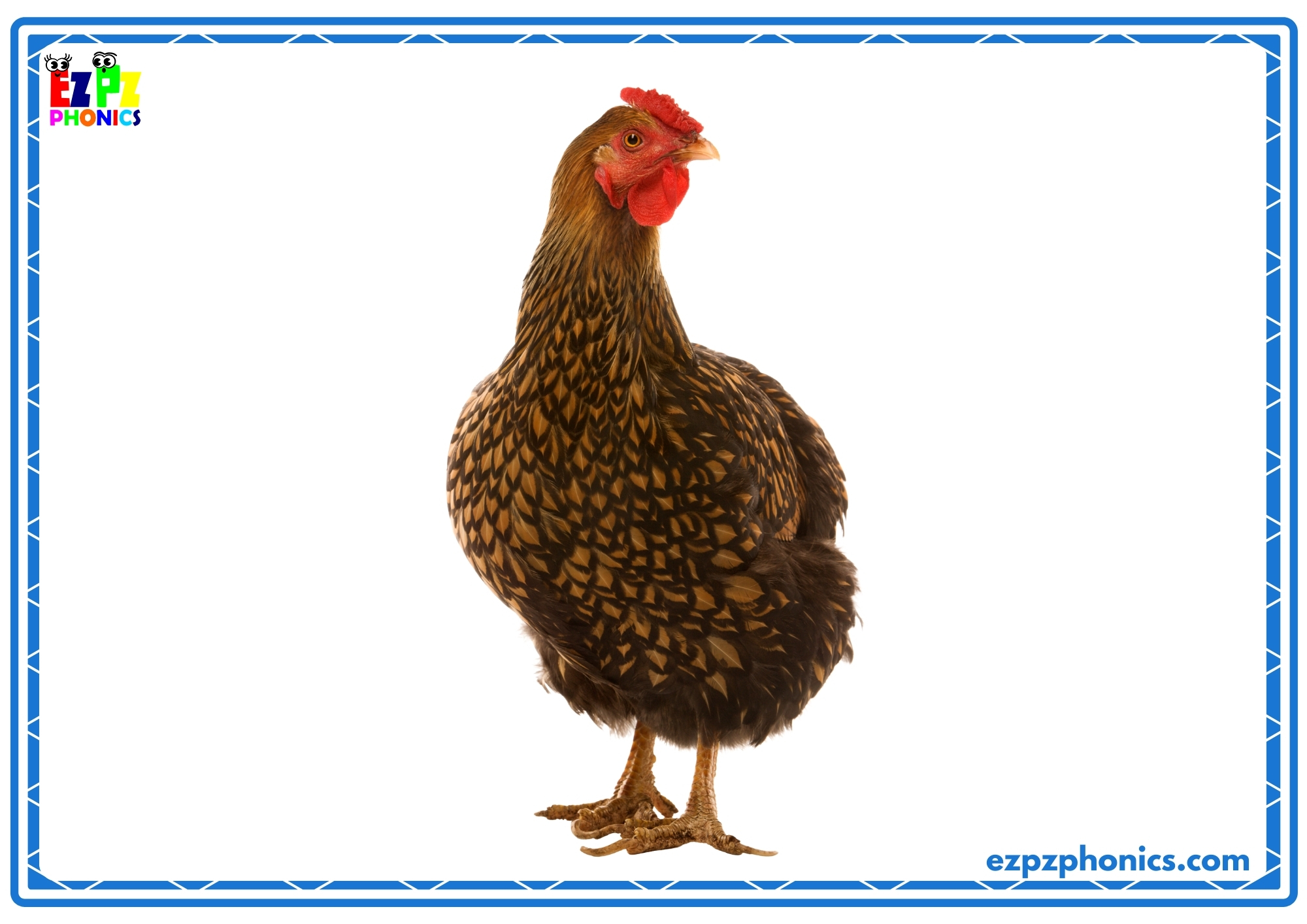 Farm Animals Flashcards Words on the Back for Easy Learning, Free PDF ...