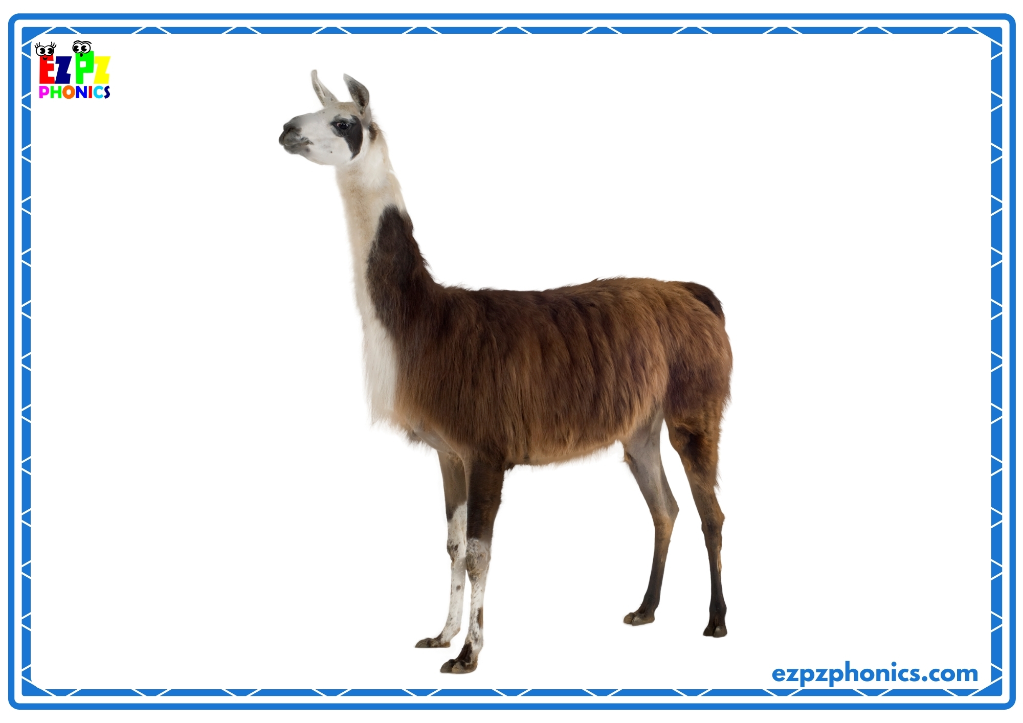 Farm Animals Flashcards Words on the Back for Easy Learning, Free PDF ...