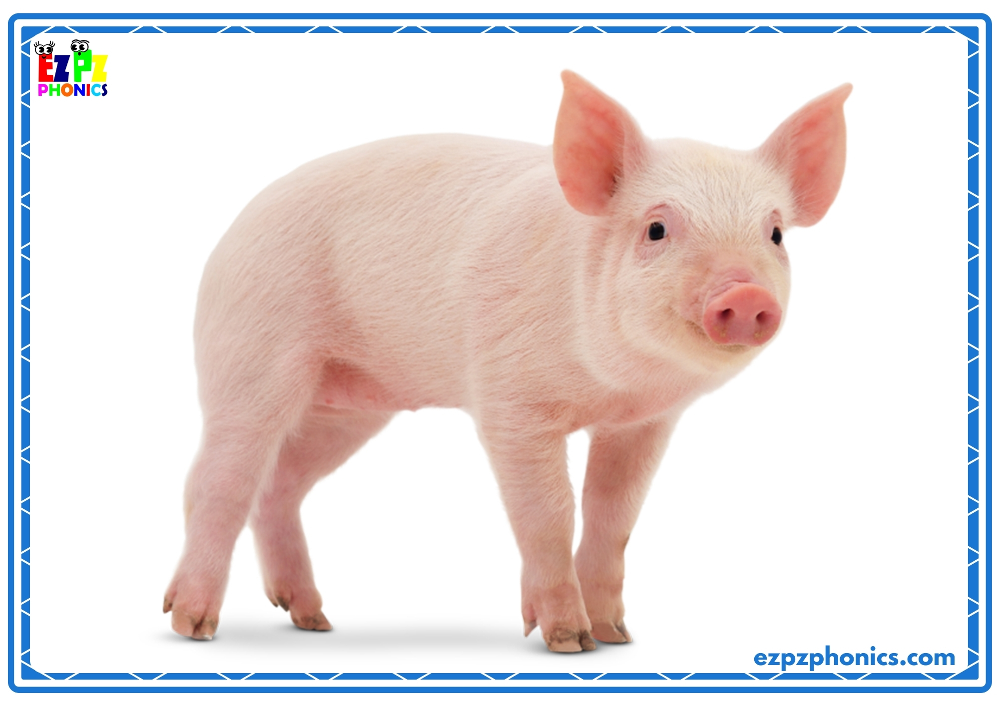 Farm Animals Flashcards Words on the Back for Easy Learning, Free PDF ...