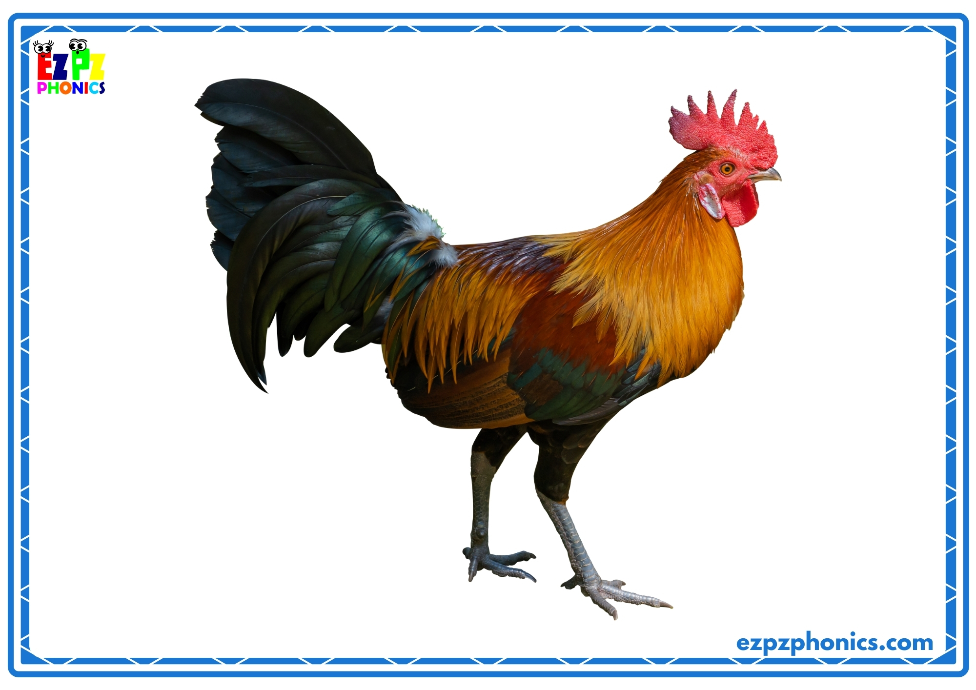 Farm Animals Flashcards Words on the Back for Easy Learning, Free PDF ...