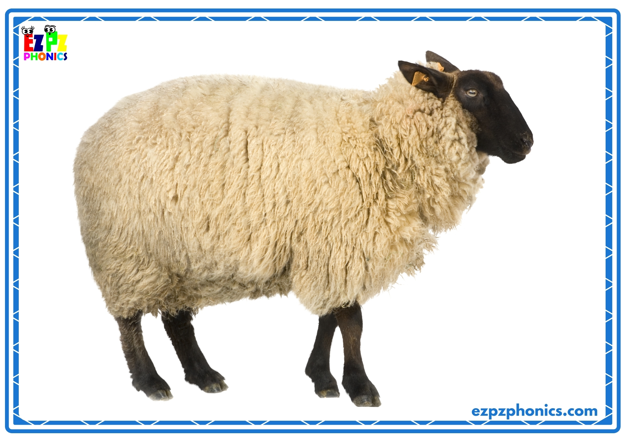 Farm Animals Flashcards Words on the Back for Easy Learning, Free PDF ...