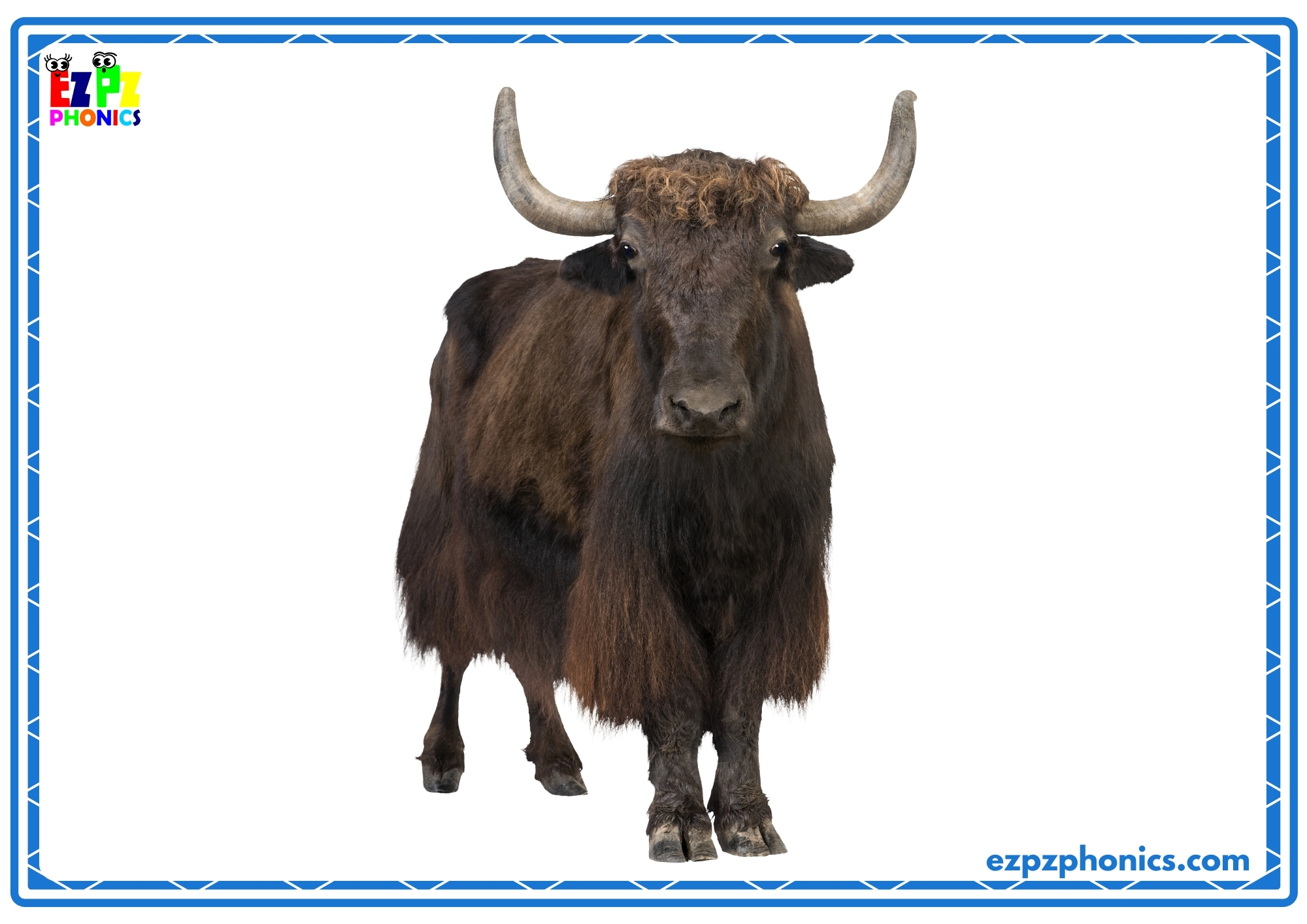 Farm Animals Flashcards Words on the Back for Easy Learning, Free PDF ...