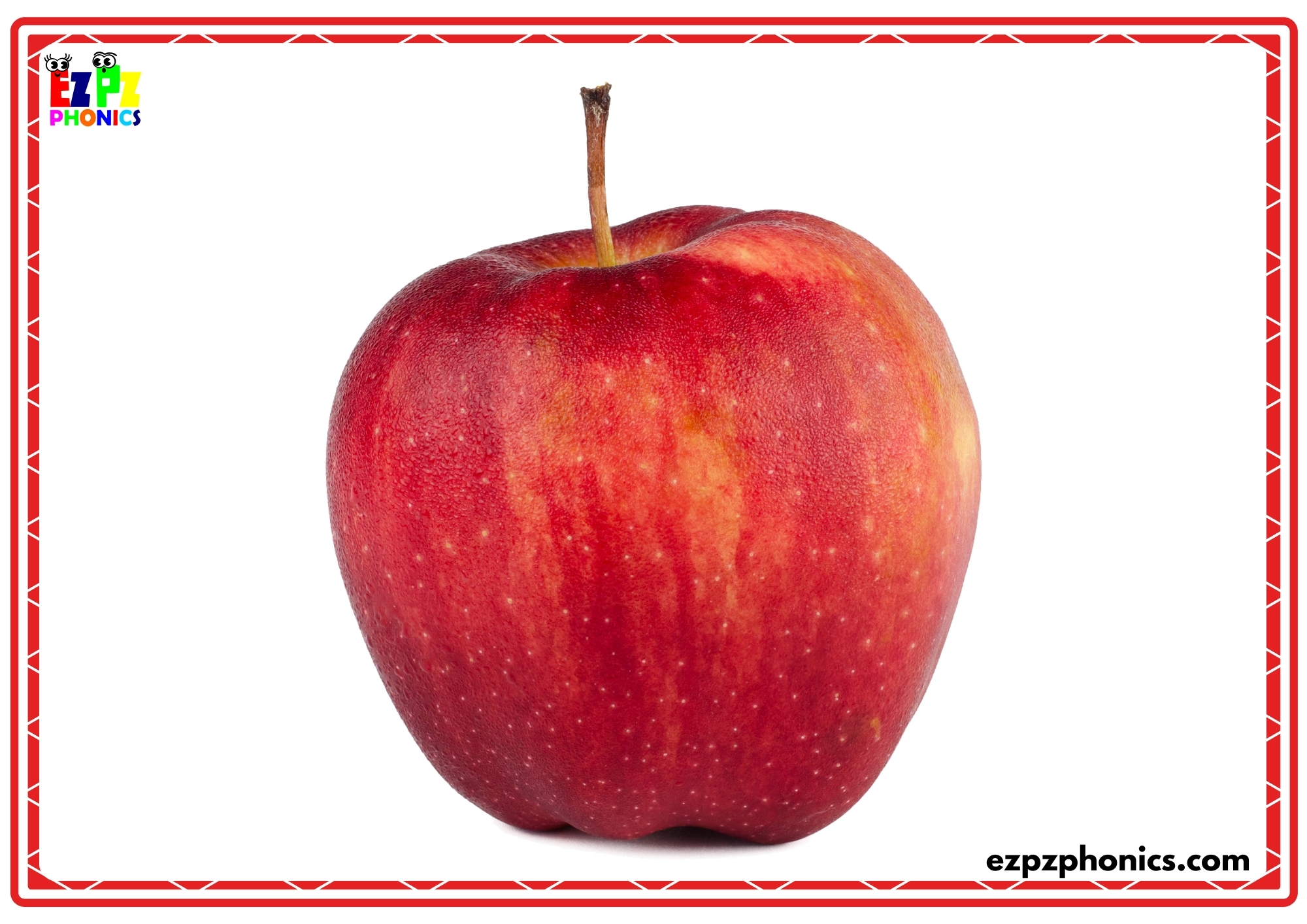 Fruit Vocabulary Flashcards View Online or Free PDF Download ...