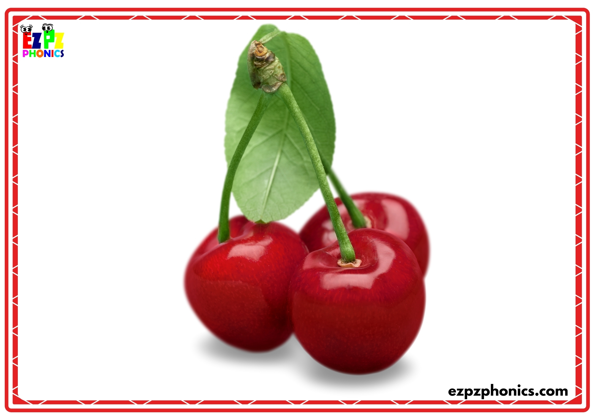 Fruit Vocabulary Flashcards View Online or Free PDF Download ...