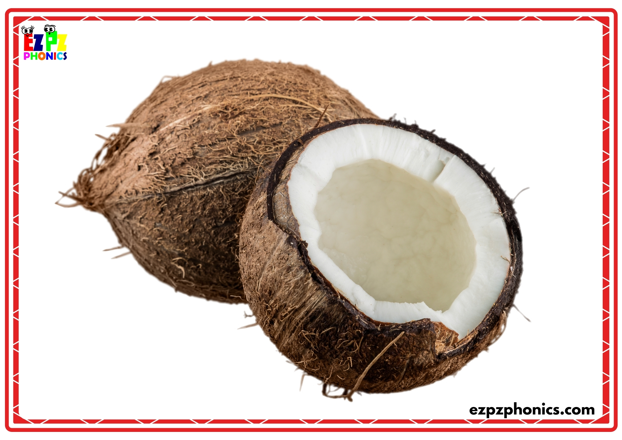 Fruit Vocabulary Flashcards View Online or Free PDF Download ...