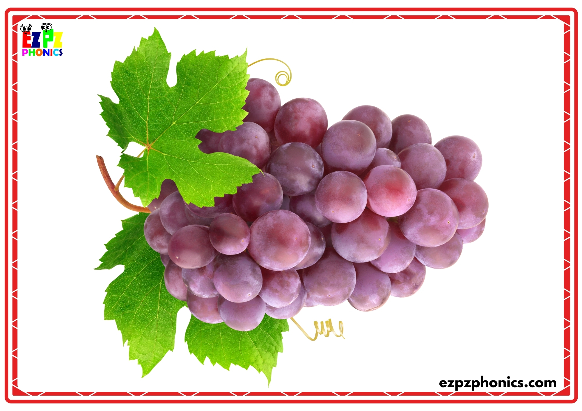 Fruit Vocabulary Flashcards View Online or Free PDF Download ...