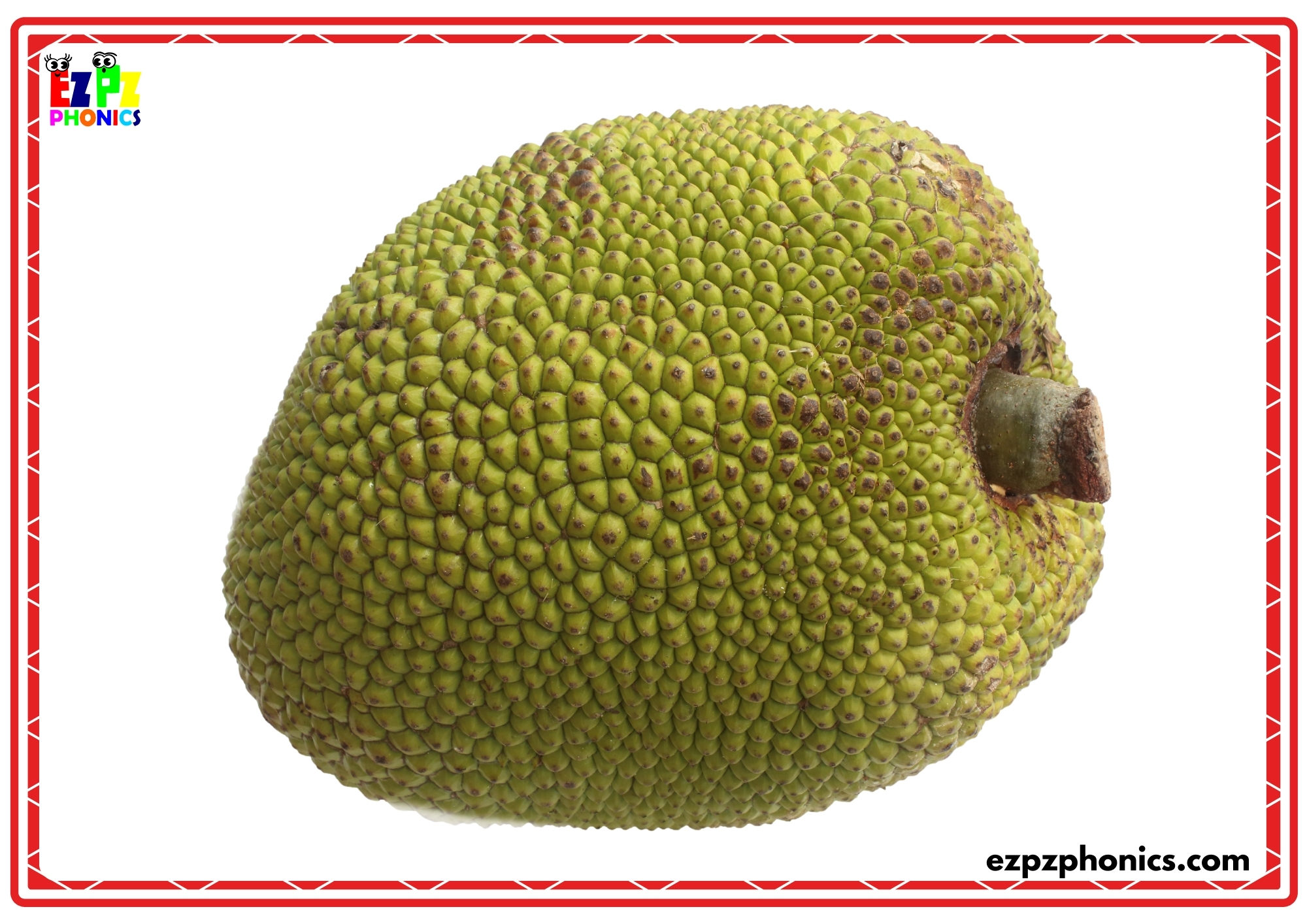 Fruit Vocabulary Flashcards View Online or Free PDF Download ...