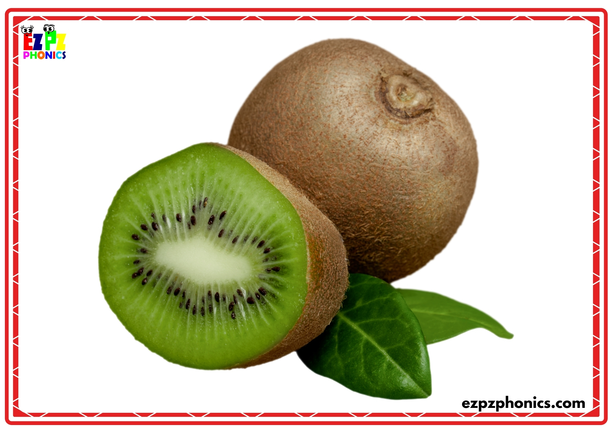 Fruit Vocabulary Flashcards View Online or Free PDF Download ...