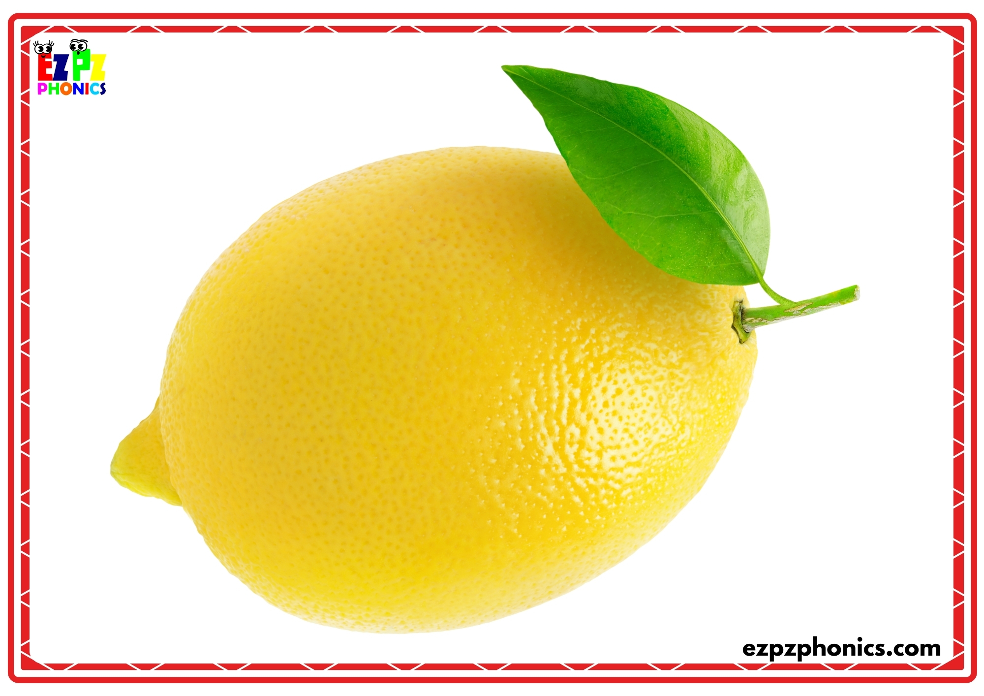 Fruit Vocabulary Flashcards View Online or Free PDF Download ...