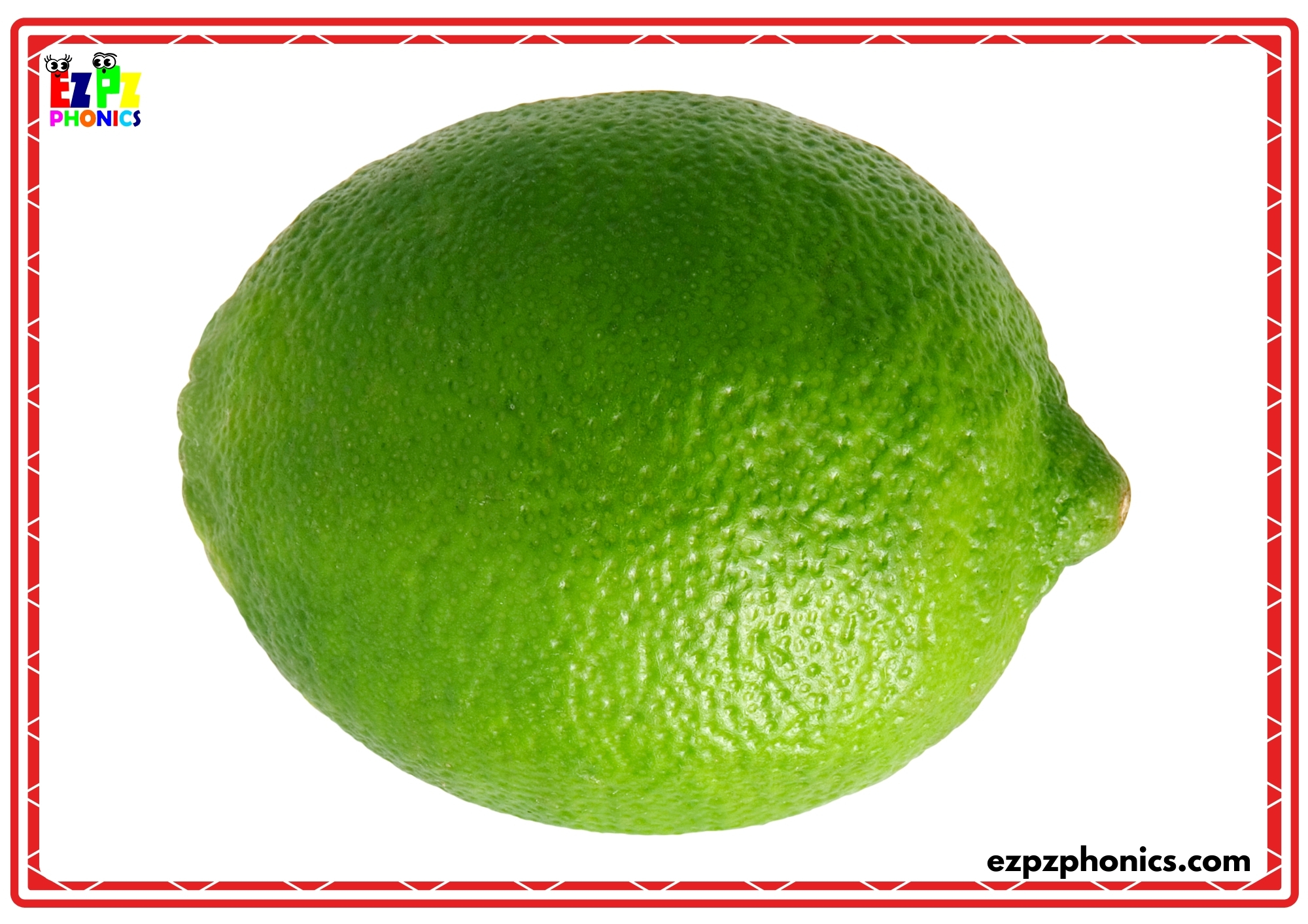 Fruit Vocabulary Flashcards View Online or Free PDF Download ...