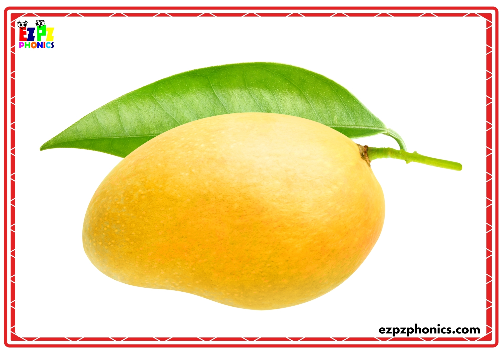 Fruit Vocabulary Flashcards View Online or Free PDF Download ...