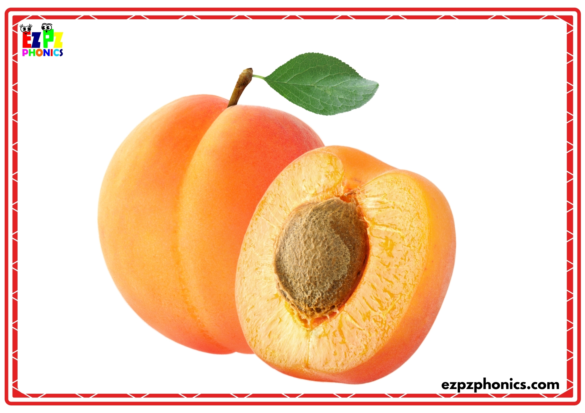 Fruit Vocabulary Flashcards View Online or Free PDF Download ...