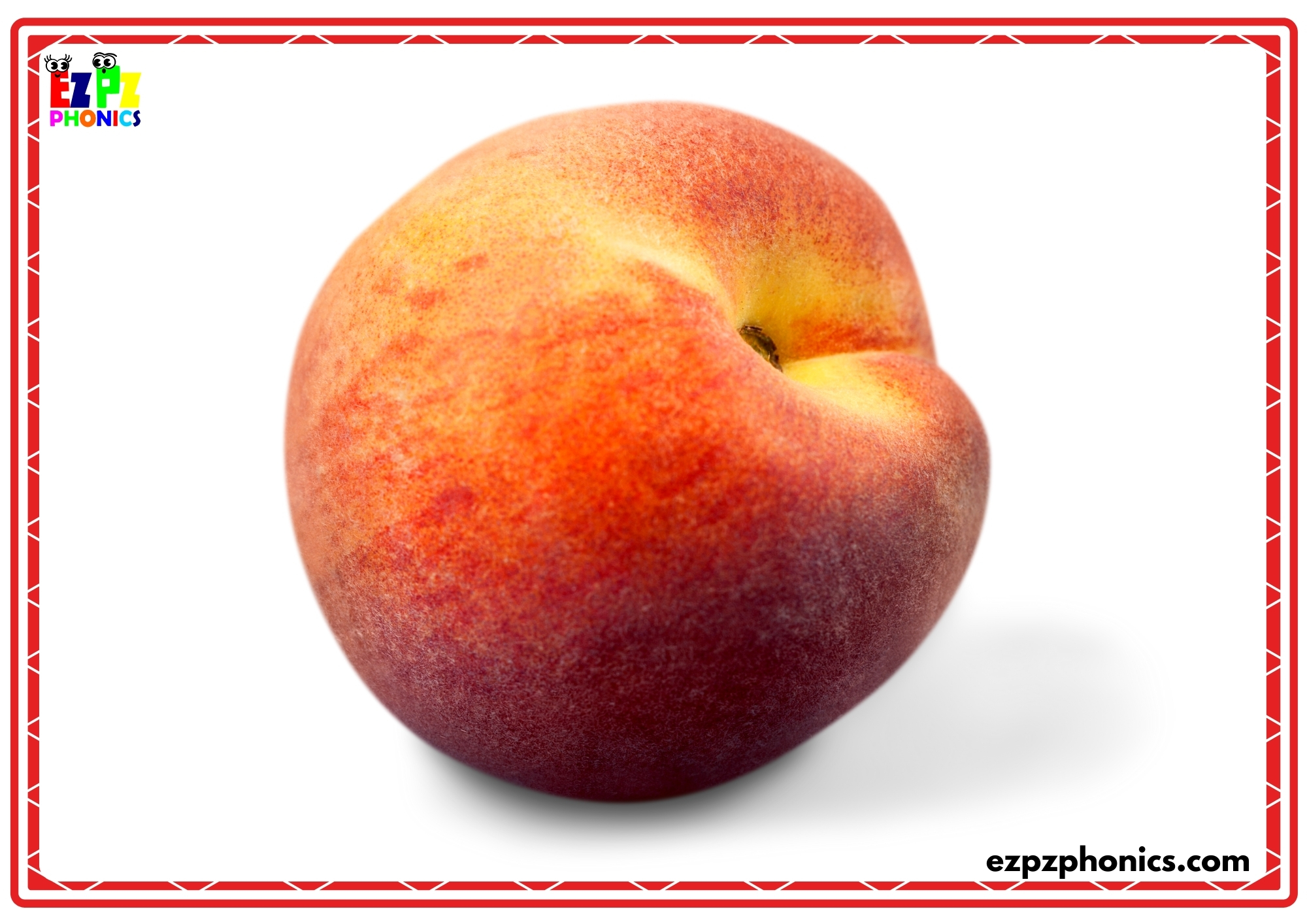 Fruit Vocabulary Flashcards View Online or Free PDF Download ...