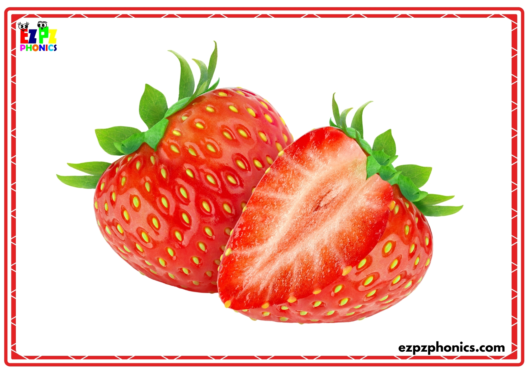 Fruit Vocabulary Flashcards View Online or Free PDF Download ...