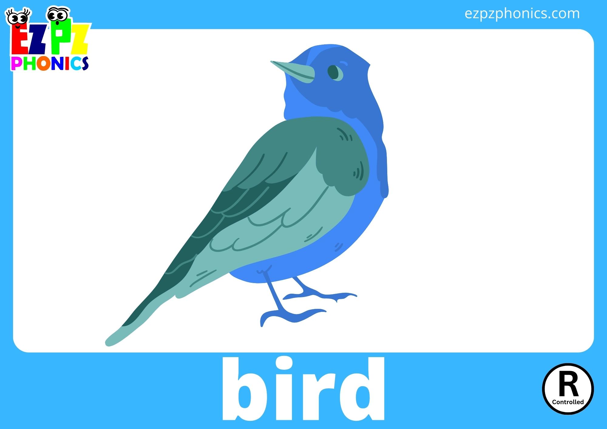 ir R-Controlled Vowels Phonics Flashcards - ezpzphonics.com