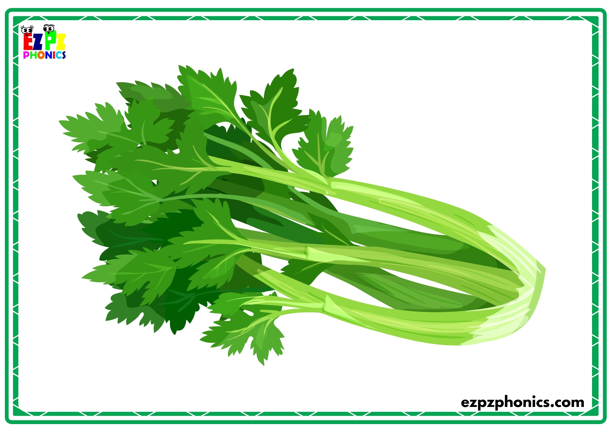 Vegetables Vietnamese and English Language Flashcards flashcard rau củ ...