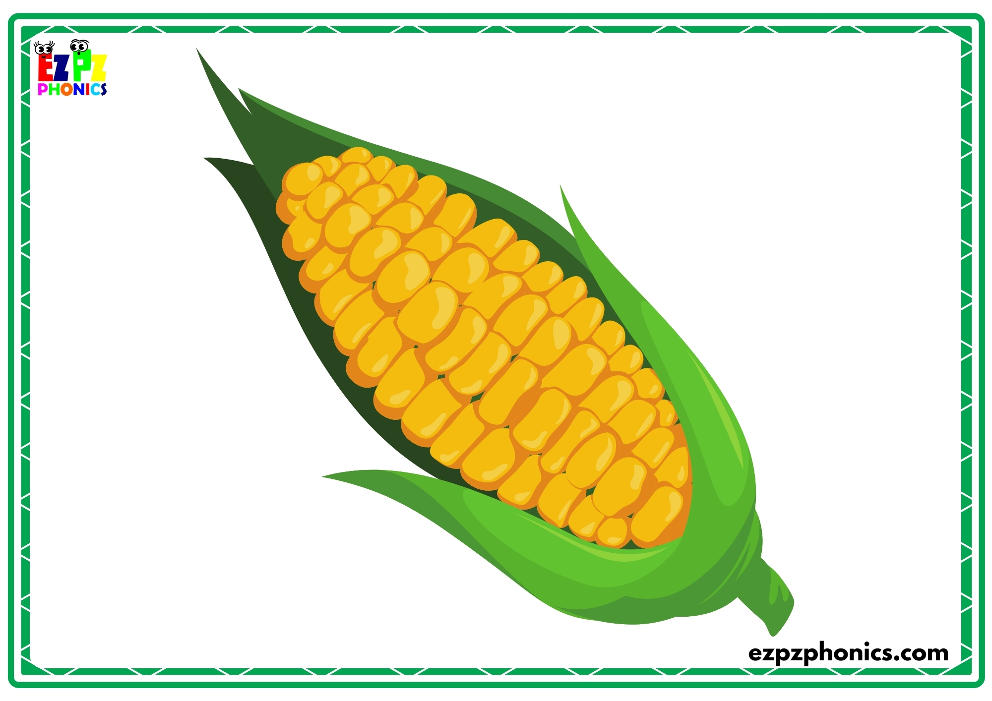 Vegetables Vietnamese and English Language Flashcards flashcard rau củ ...