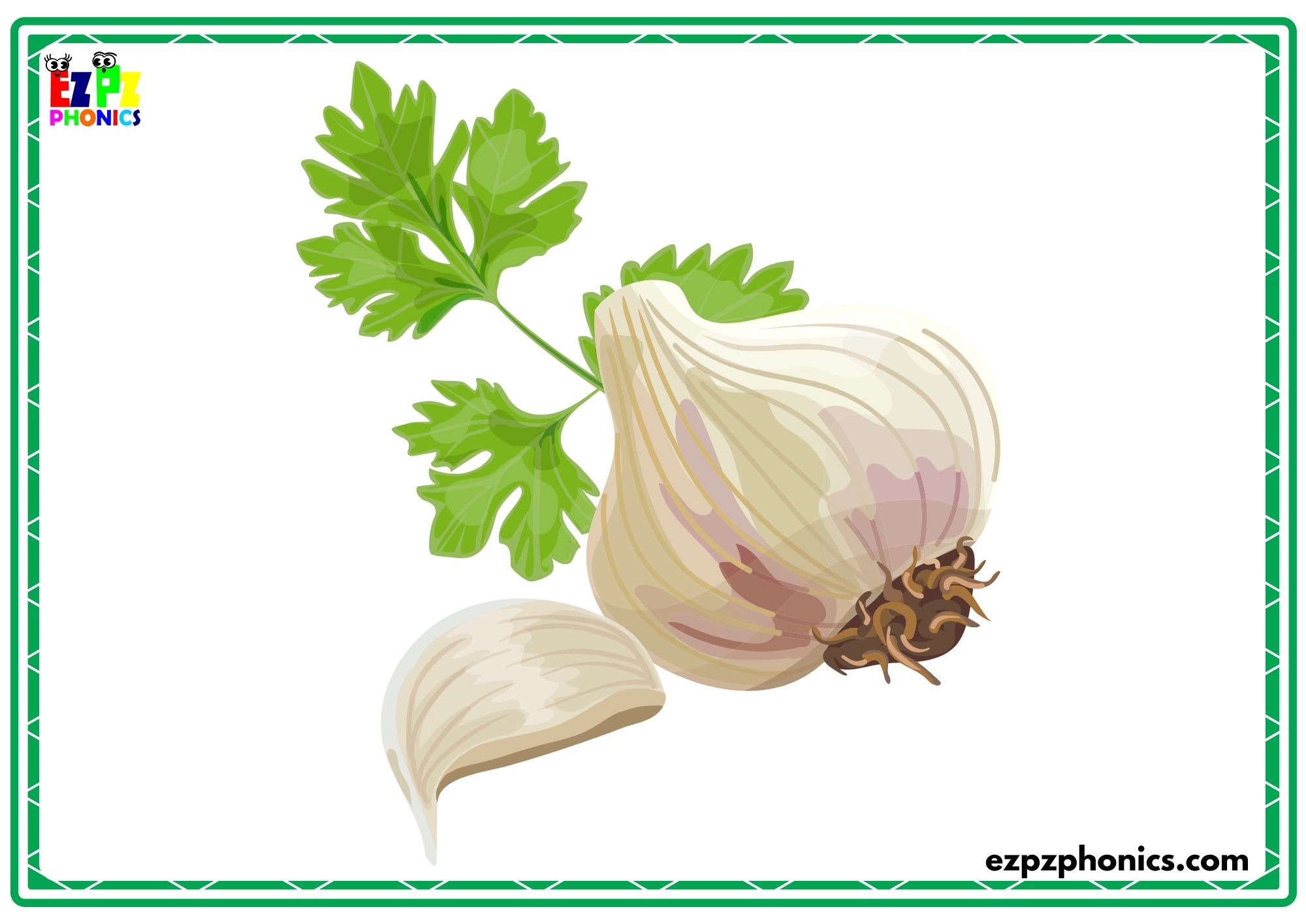 Vegetables Vietnamese and English Language Flashcards flashcard rau củ ...