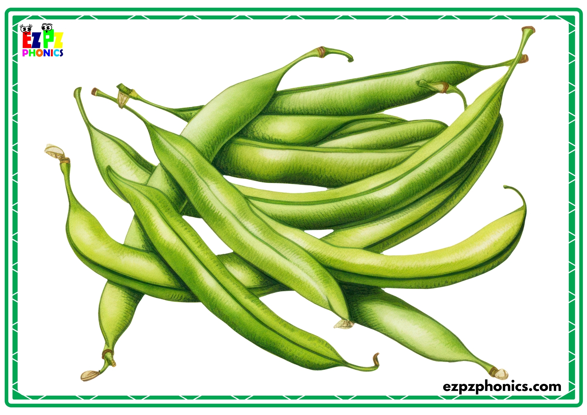 Vegetables Vietnamese and English Language Flashcards flashcard rau củ ...