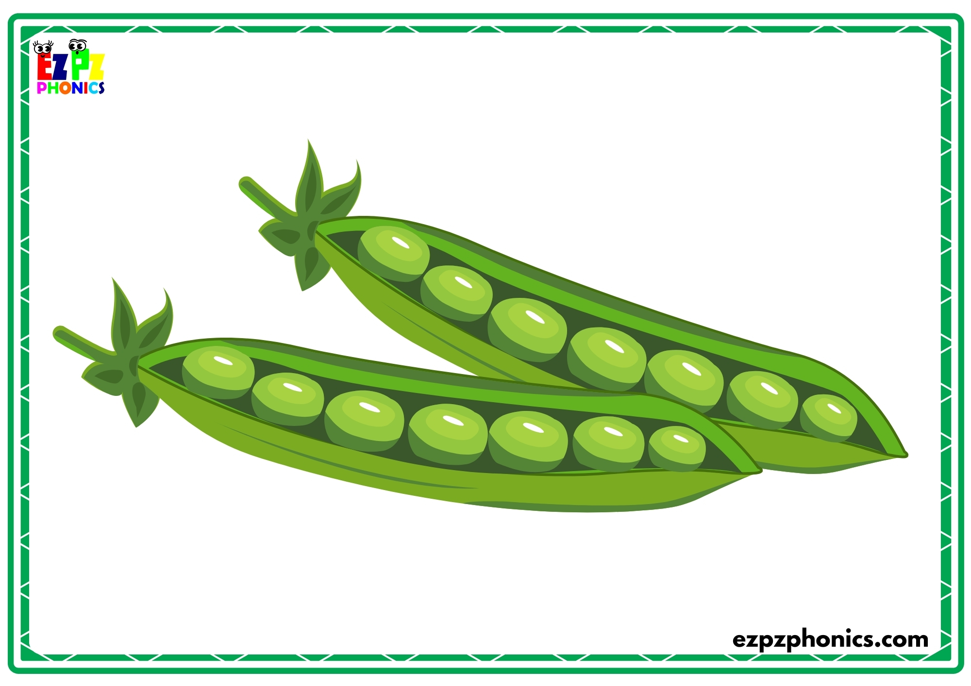 Vegetables Vietnamese and English Language Flashcards flashcard rau củ ...