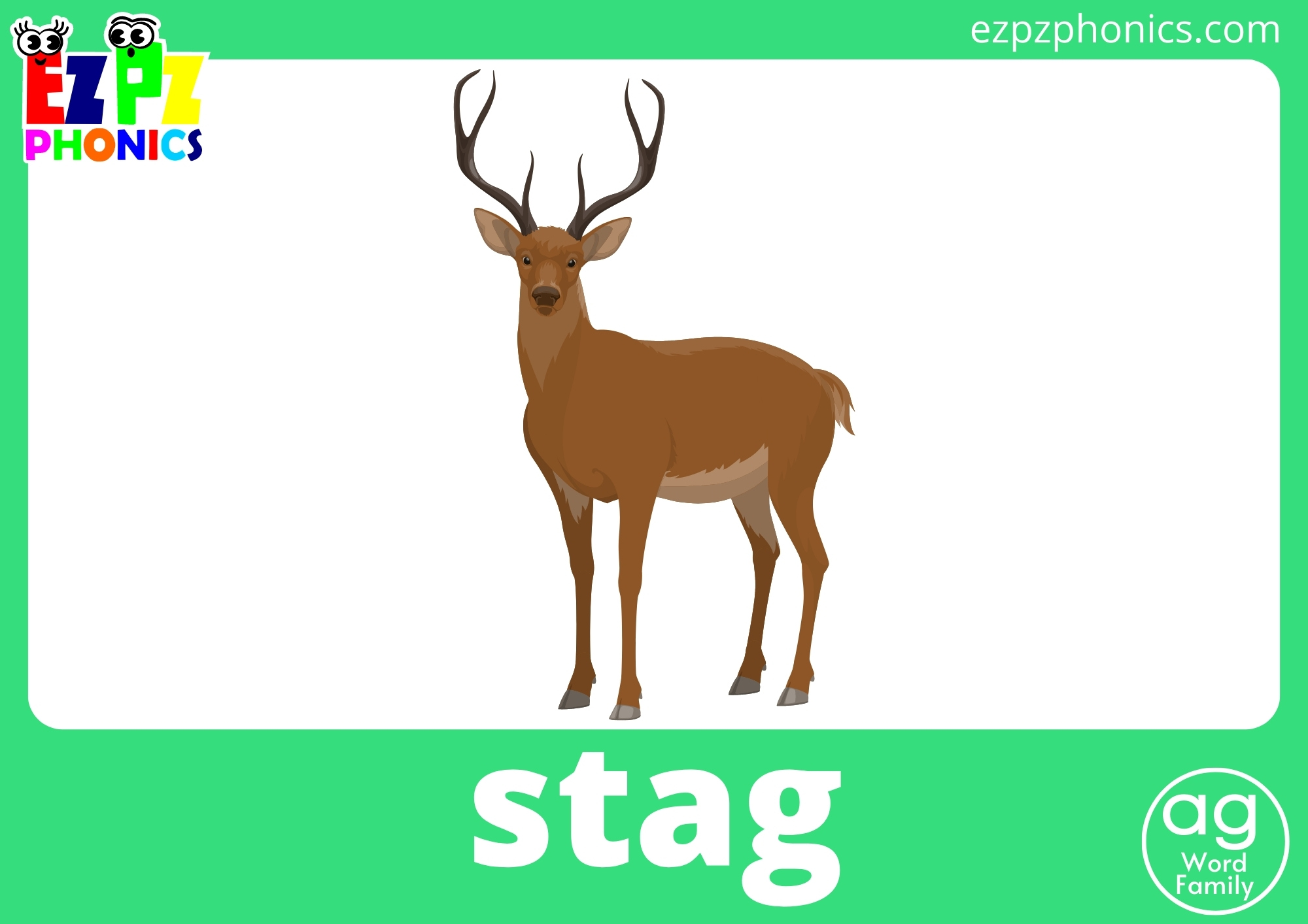 AG Word Family Full Page Flashcards With Words Free PDF Download or ...