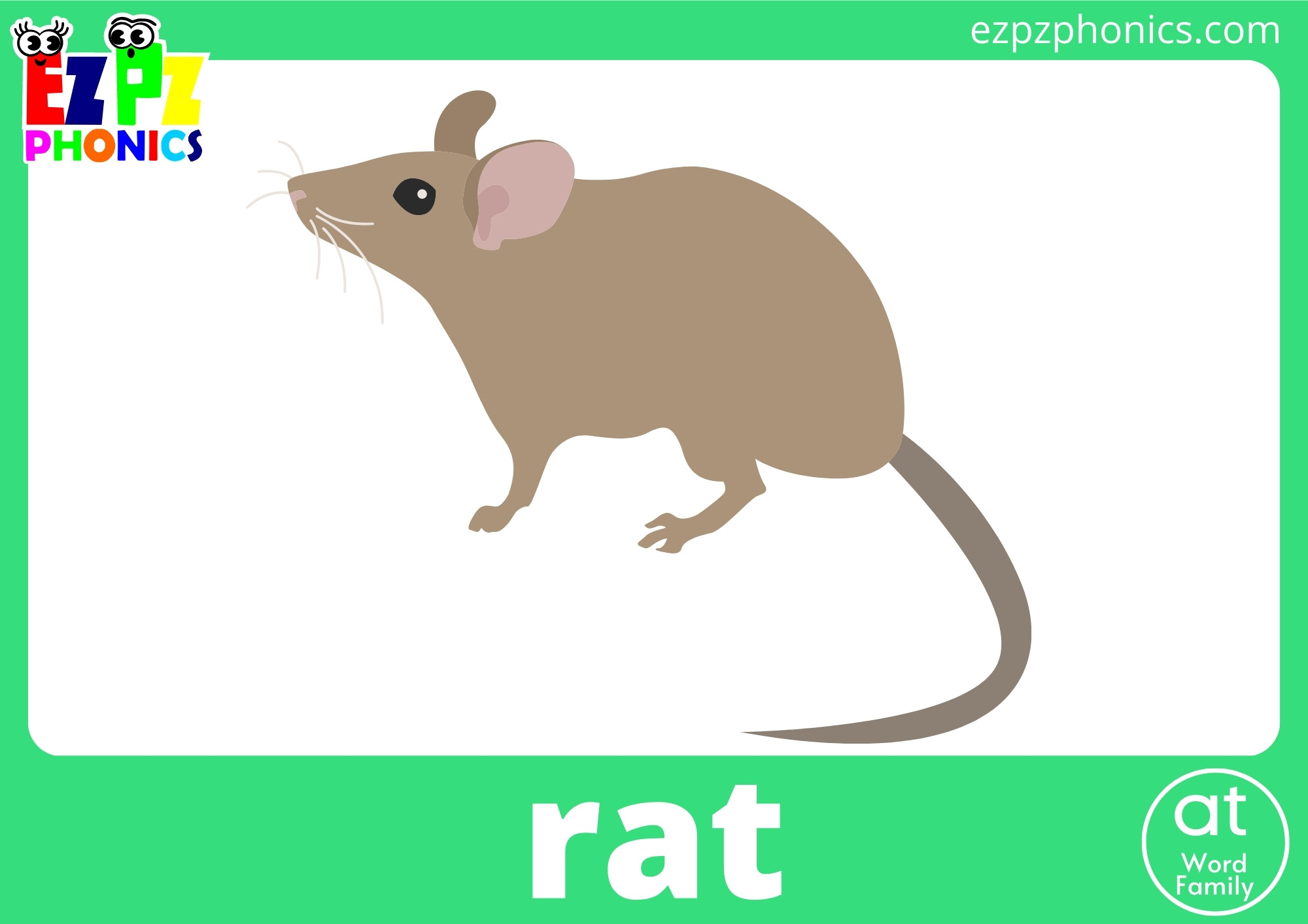 AT Word Family Full Page Flashcards With Words Free PDF Download or ...