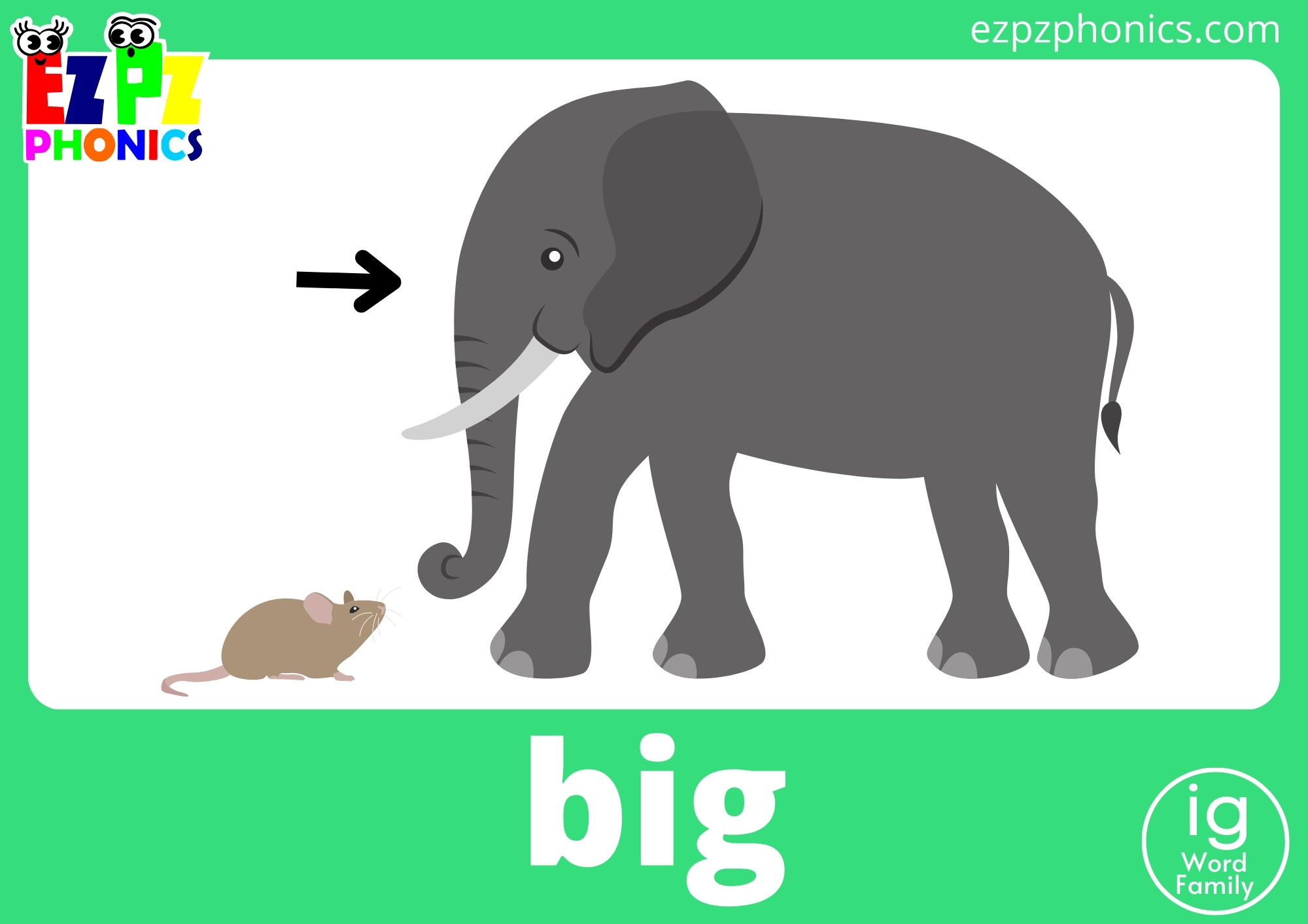 ig Word Family Flashcards - ezpzphonics.com