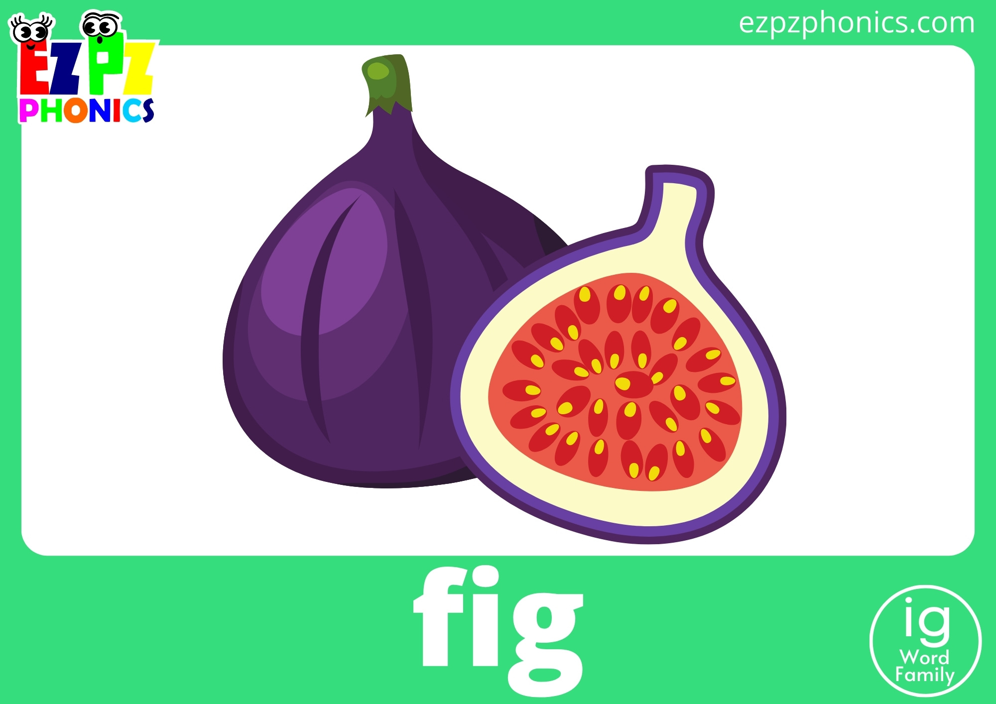 ig Word Family Flashcards - ezpzphonics.com