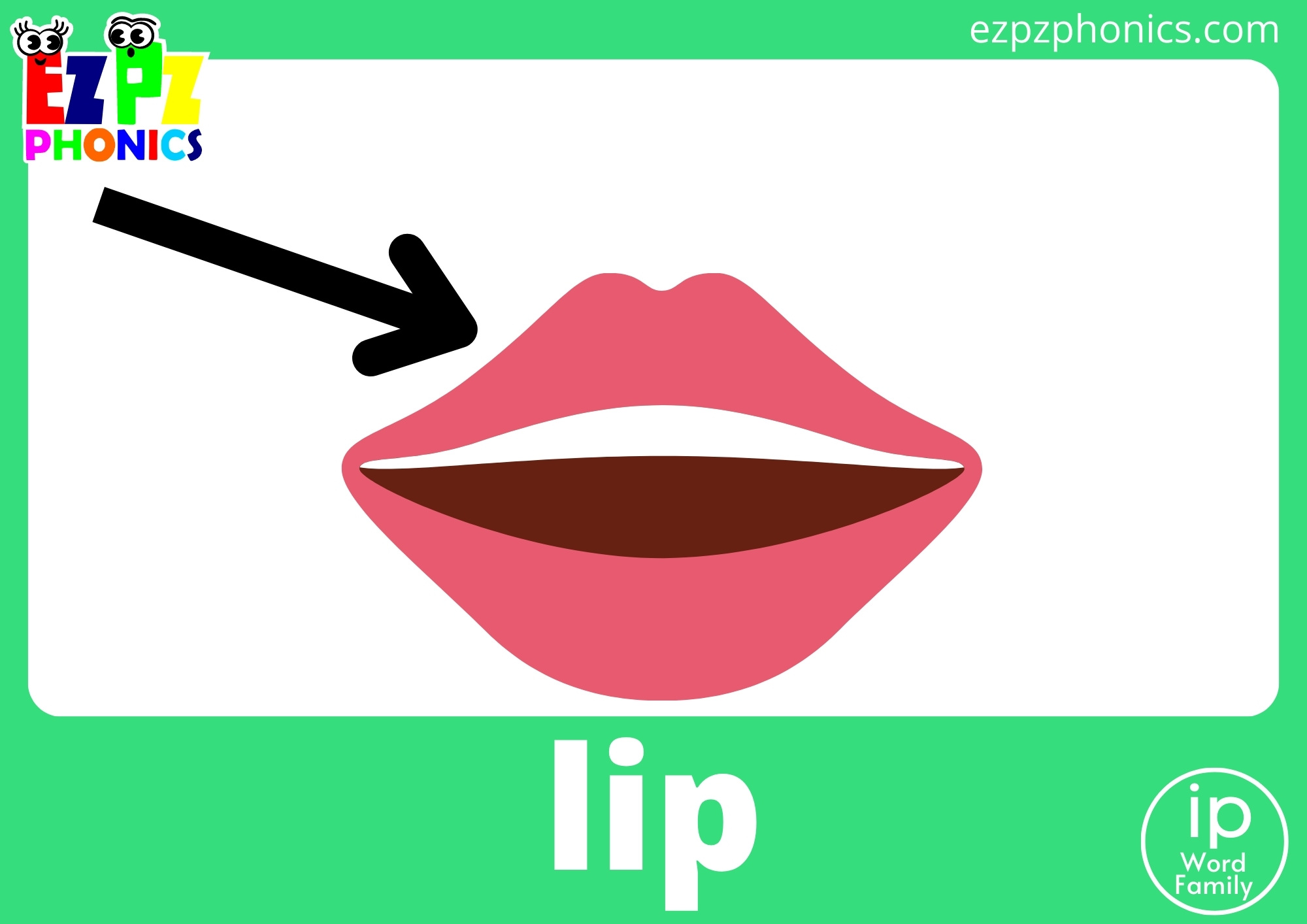 IP Word Family Full Page Flashcards With Words Free PDF Download or ...