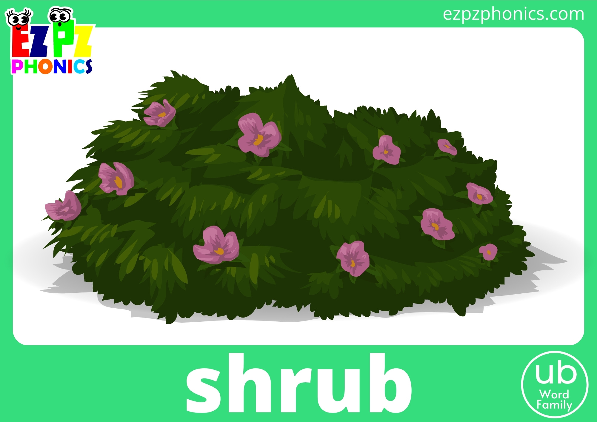 UB Word Family Flashcards With Words Phonics Letter Sounds Flashcards ...